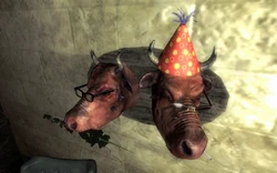 Brahmin Fallout 3