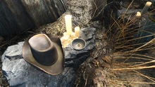 Lily's wedding ring | Fallout Wiki | Fandom