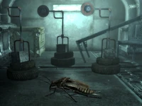 Radroach (Fallout 3) | Fallout Wiki | Fandom