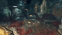 Aquarium of the Atlantic | Fallout Wiki | Fandom