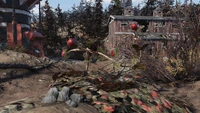 Cranberries | Fallout Wiki | Fandom