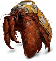 Hermit crab | Fallout Wiki | Fandom