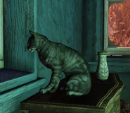 Cat (Fallout 76) | Fallout Wiki | Fandom