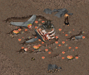 Crashed whale | Fallout Wiki | Fandom