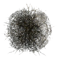 Brooks tumbleweed ranch | Fallout Wiki | Fandom