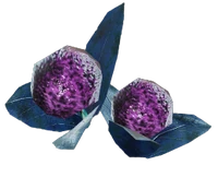 Cranberries | Fallout Wiki | Fandom