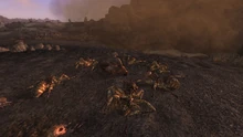 Jack Rabbit Springs | Fallout Wiki | Fandom