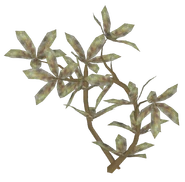 Rhododendron plant | Fallout Wiki | Fandom