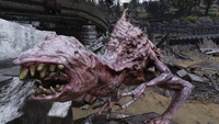 Snallygaster | Fallout Wiki | Fandom