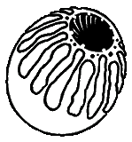 Deathclaw egg (Fallout: New Vegas) | Fallout Wiki | Fandom