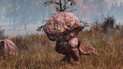 Fallout Creatures Gulper