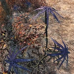 Fallout 4 traps | Fallout Wiki | Fandom