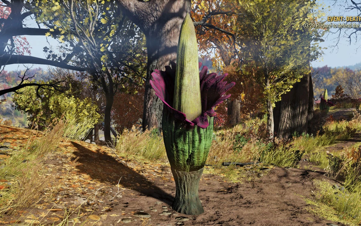 Death Blossoms | Fallout Wiki | Fandom