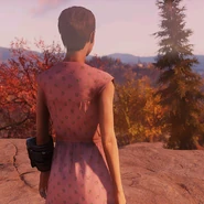 Laundered dress (Fallout 76) | Fallout Wiki | Fandom