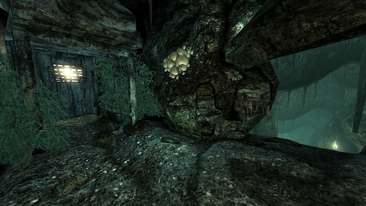 DLC04zTestSeaCave02 | Fallout Wiki | Fandom