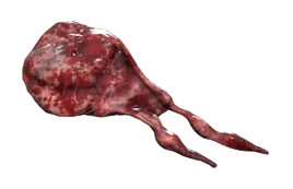 Tick blood sac | Fallout Wiki | Fandom