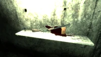 Chinese Intelligence bunker | Fallout Wiki | Fandom