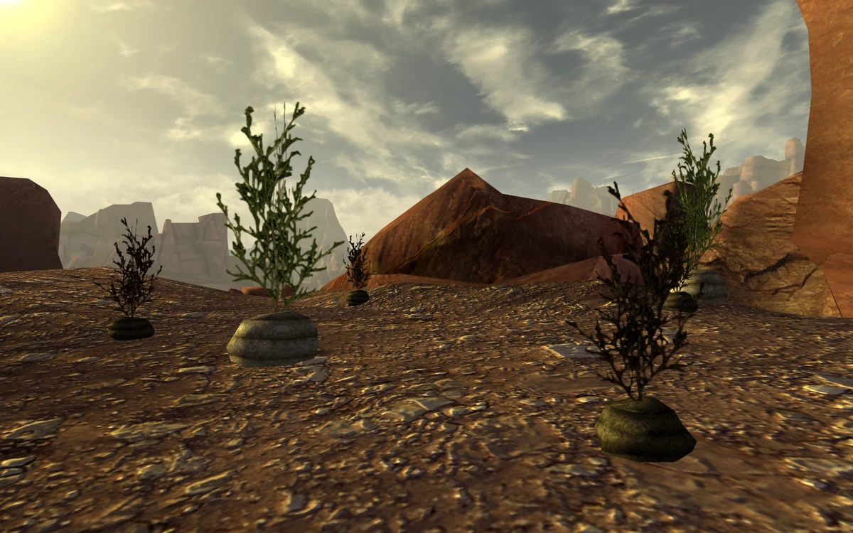 Xander root | Fallout Wiki | Fandom