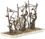 Tato plant (Fallout 76) | Fallout Wiki | Fandom