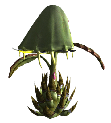 Spore De Plante
