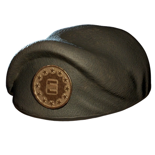 Enclave military beret | Fallout Wiki | Fandom
