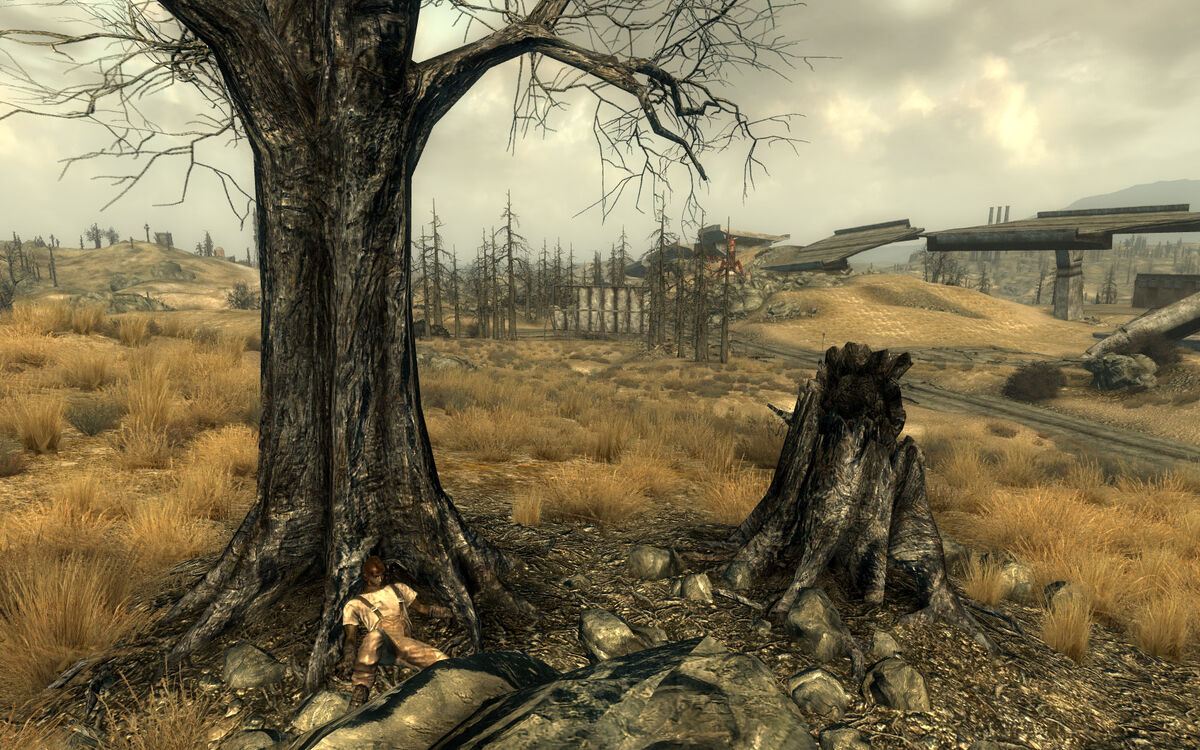 Dearest Grace... | Fallout Wiki | Fandom