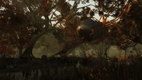 Crashed plane | Fallout Wiki | Fandom