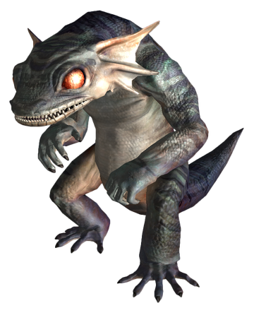 Komodo Drachen Größenvergleich