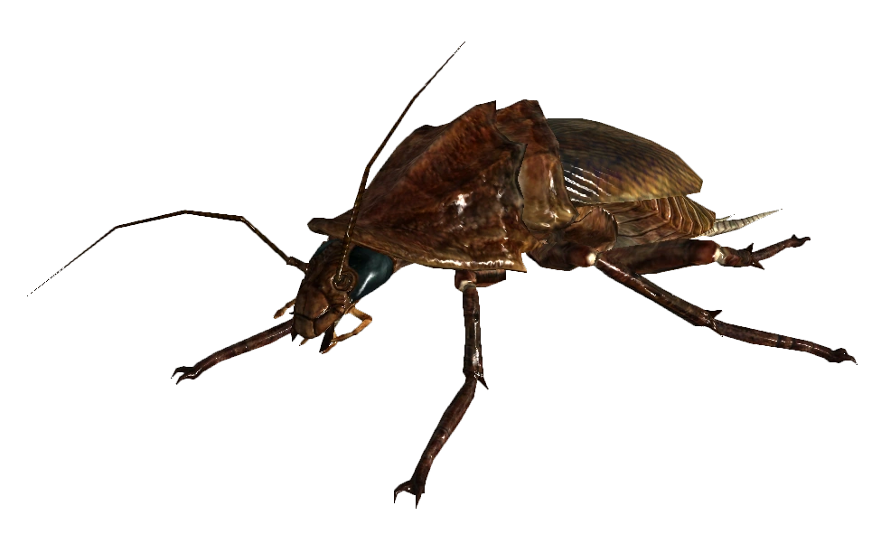 Radrakan | Krypta | Fandom