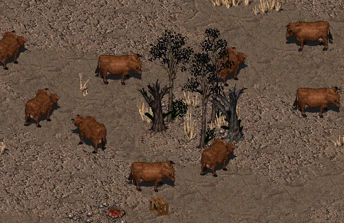 Brahmin Fallout 2