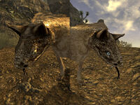 Night stalker | Fallout Wiki | Fandom