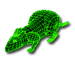 Giant rat | Fallout Wiki | Fandom