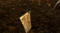 Bitter Springs cemetery | Fallout Wiki | Fandom