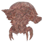 Mirelurk | Fallout Wiki | Fandom