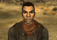 Traveler | Fallout Wiki | Fandom