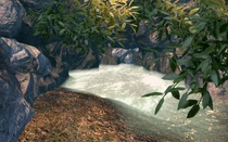 The Grove | Fallout Wiki | Fandom