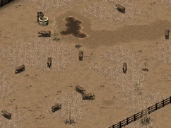 Brahmin Tipping (special encounter) | Fallout Wiki | Fandom