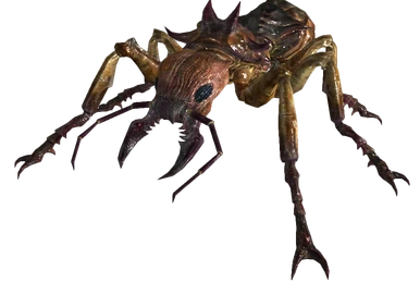 fire ant queen fallout