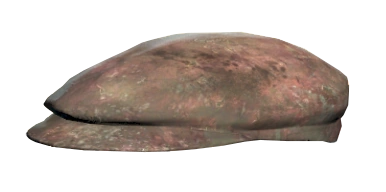 Newsboy cap (Fallout 76) | Fallout Wiki | Fandom