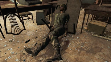 Fallout 4 Deimhnithe