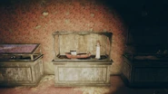 Lighthouse souvenir | Fallout Wiki | Fandom