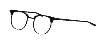 Eyeglasses (Fallout 76) | Fallout Wiki | Fandom