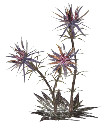Thistle plant (Fallout 76) | Fallout Wiki | Fandom