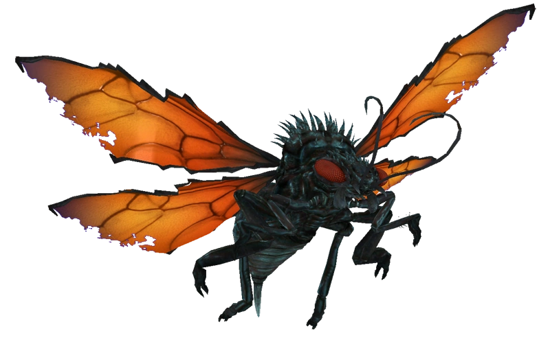 Kazador | Krypta | Fandom