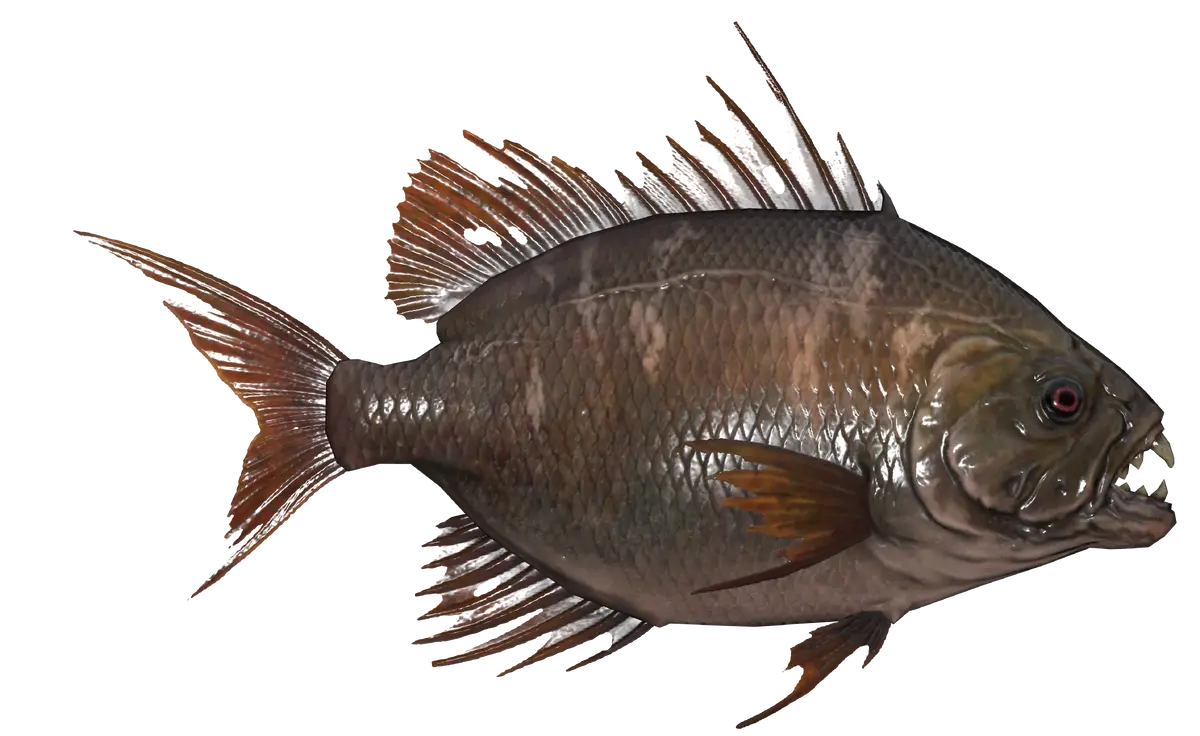 Category:Gone Fission fishes | Fallout Wiki | Fandom