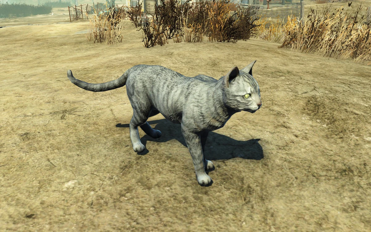 Katana (cat) | Fallout Wiki | Fandom