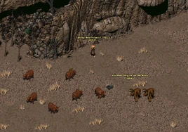 Stop brahmin raids | Fallout Wiki | Fandom