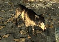 Dog (Fallout 3) | Fallout Wiki | Fandom