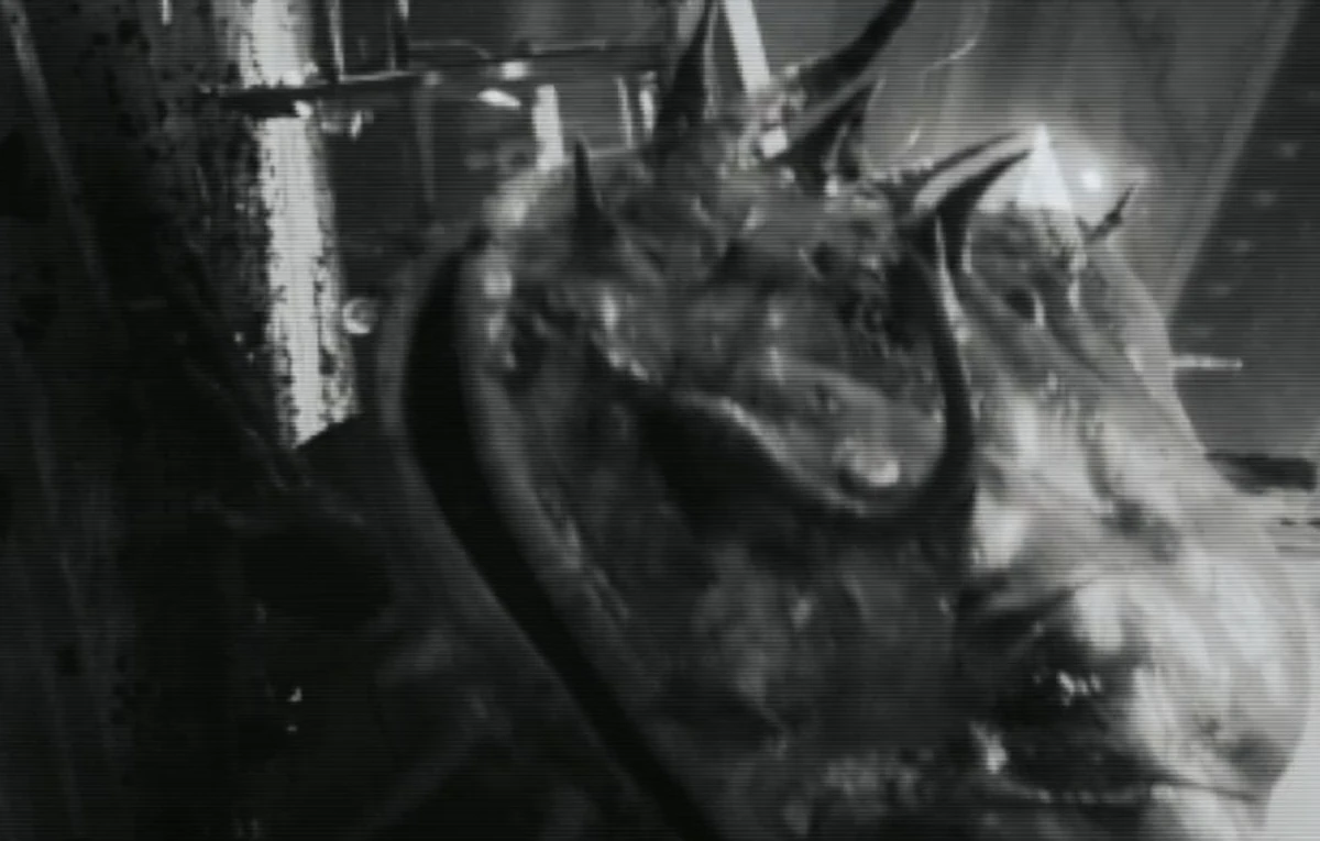 Peter (TV series) | Fallout Wiki | Fandom