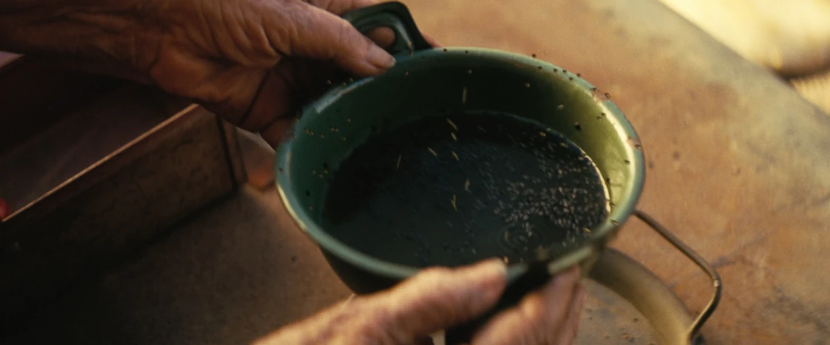 Flea soup | Fallout Wiki | Fandom
